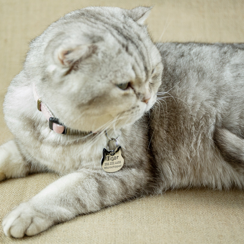 Hollow-carved Dog Tags For Pets Custom | - TAGLEC